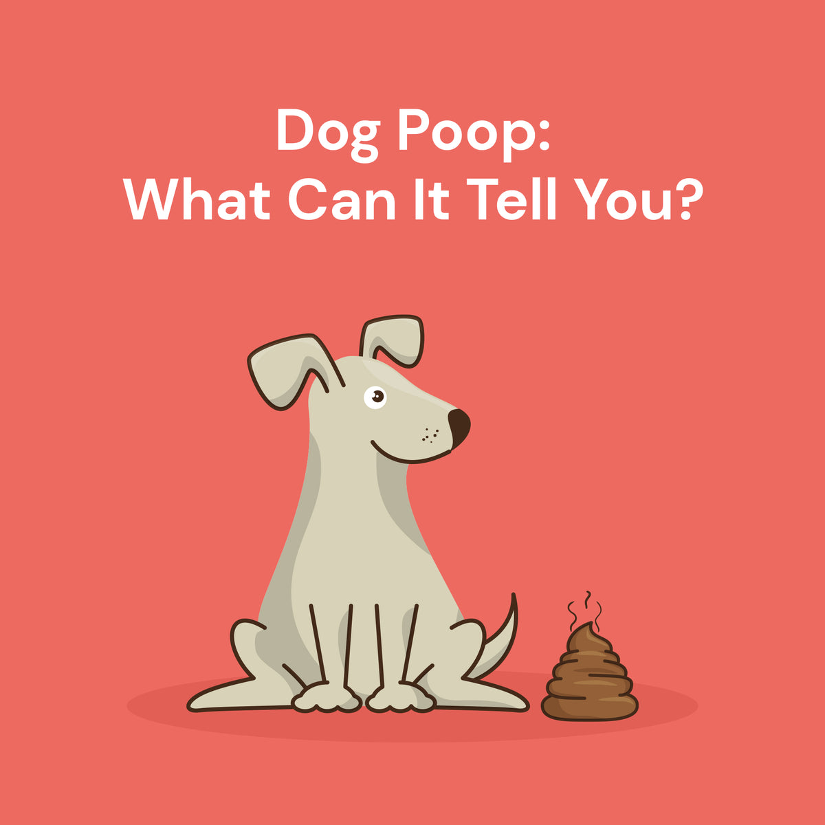 Dog Poop: What Should Dog Poop Look Like? – DIG labs