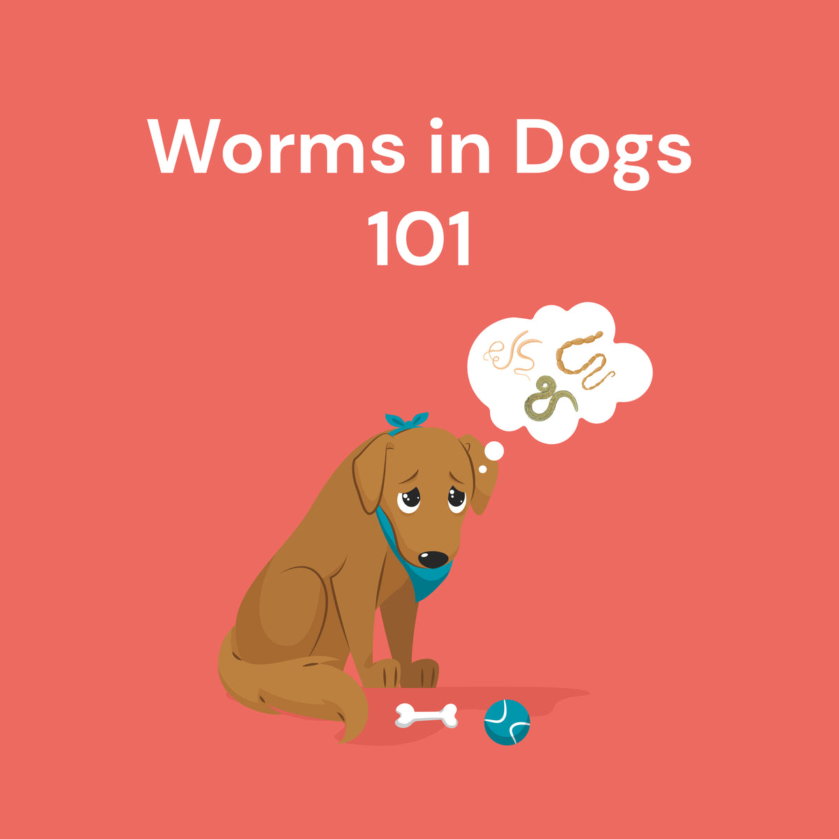 Types of Dog Parasites: Worms in Dogs 101 – DIG labs